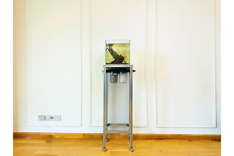 Introducing the Nexus 301: A Small Fish Tank With an Invisible Filter ...