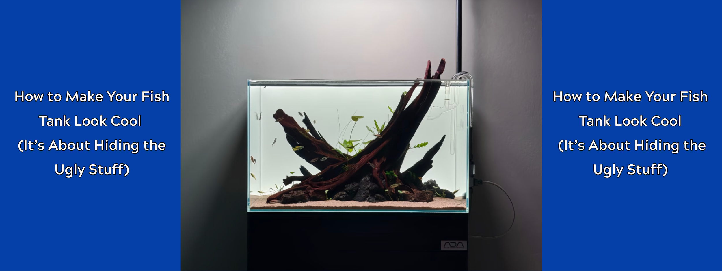 How to Make Your Fish Tank Look Cool (It’s About Hiding the Ugly Stuff ...